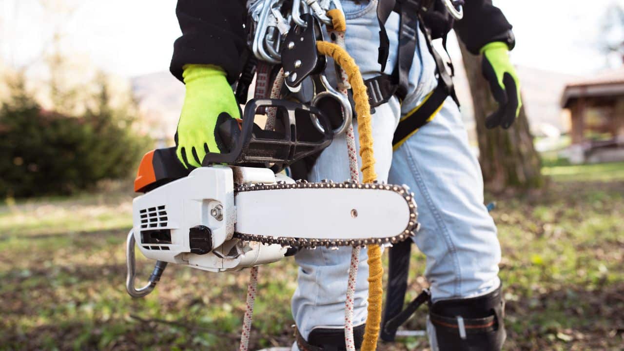 Different Types of Saws: A Comprehensive Guide