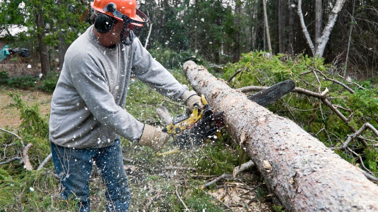 Understanding Chainsaw Noise Levels